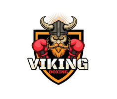 Viking Boxing Club - Accueil